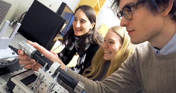 Norwegian University Of Science And Technology International Master S